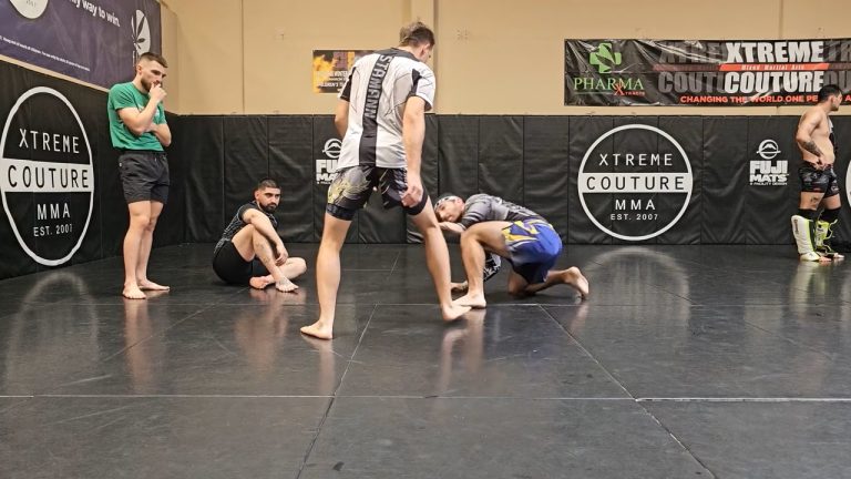 standup - Freestyle Fighting Academy Miami